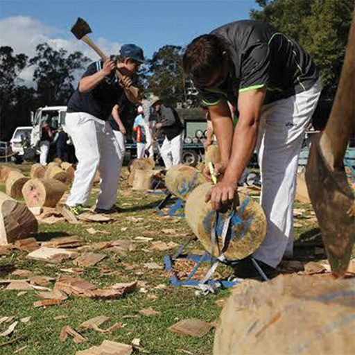 Home - Stroud Brick Throwing