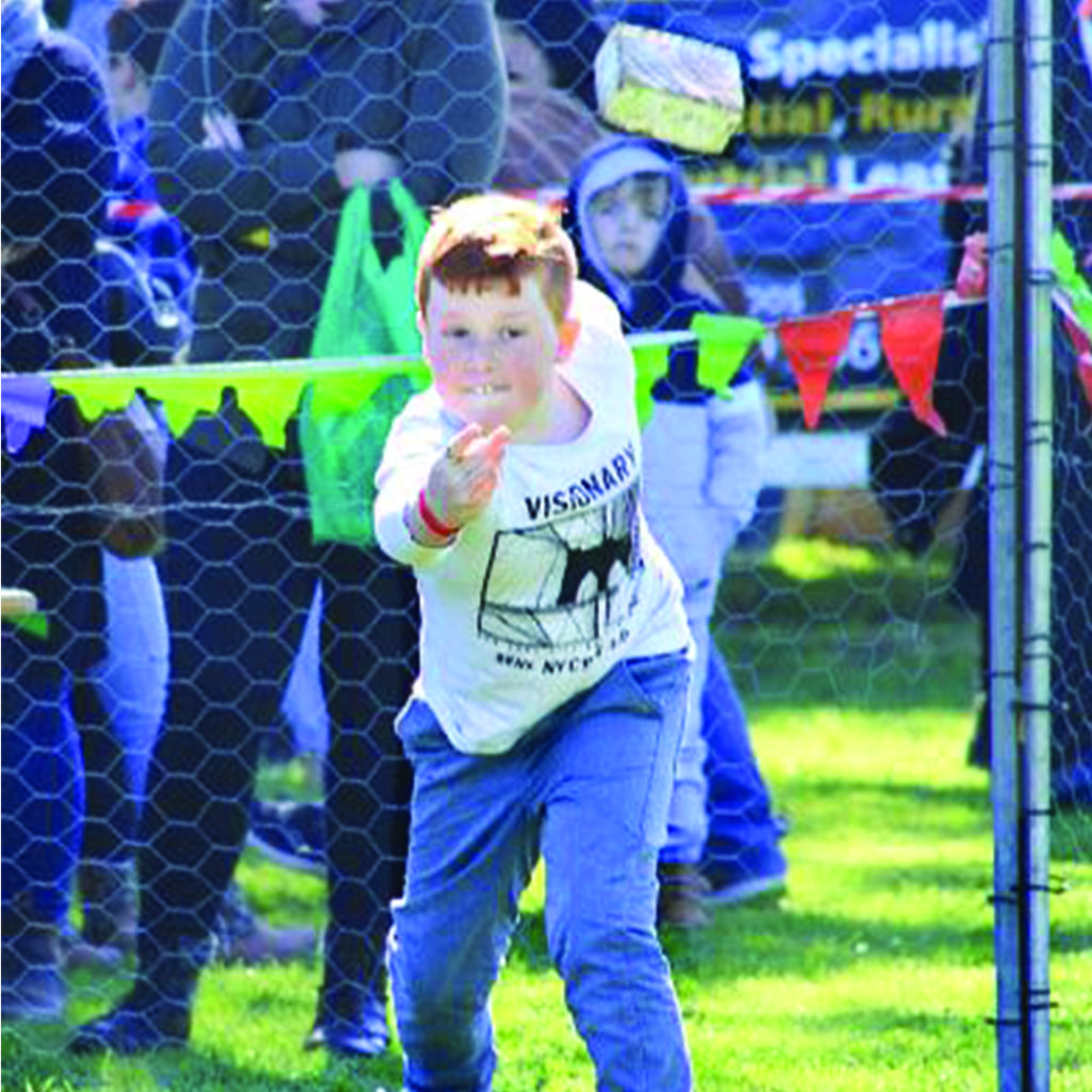 Whats On - Stroud Brick Throwing